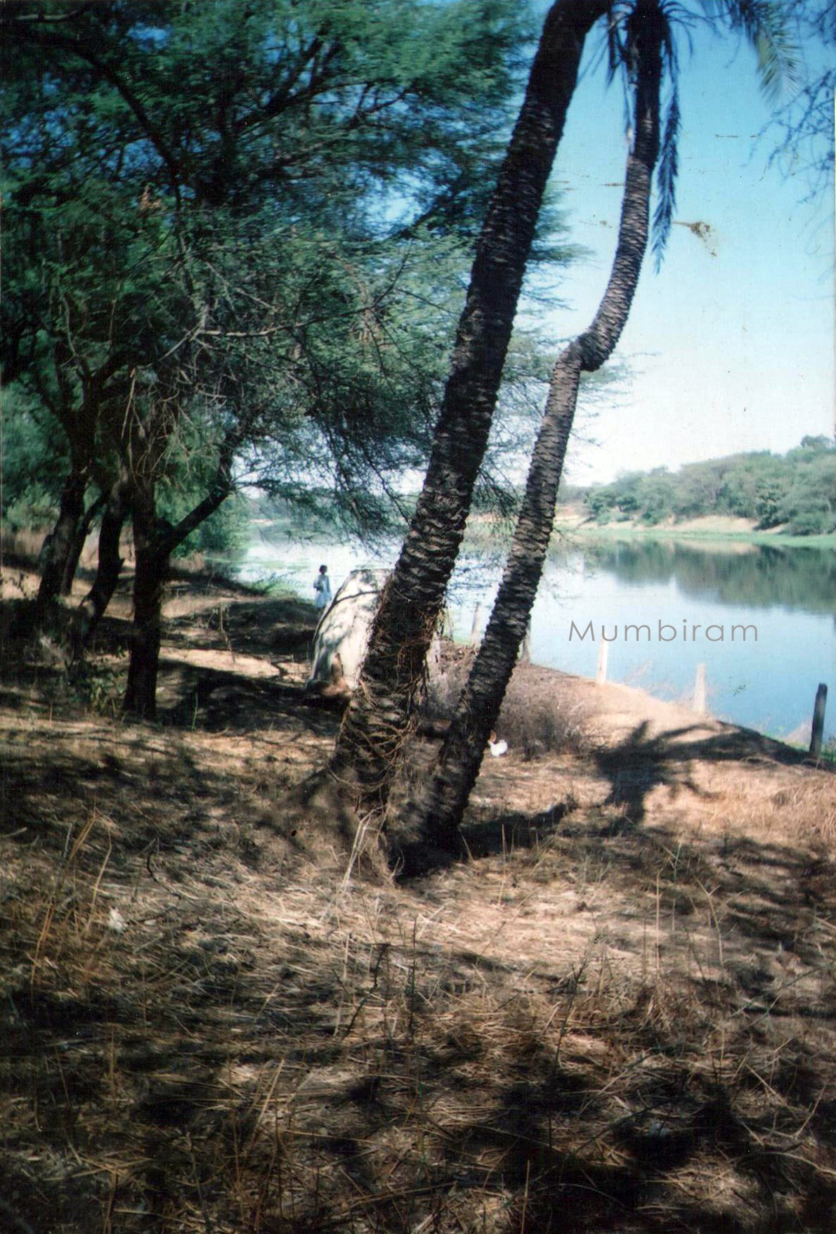 Goat Place - Mumbiram